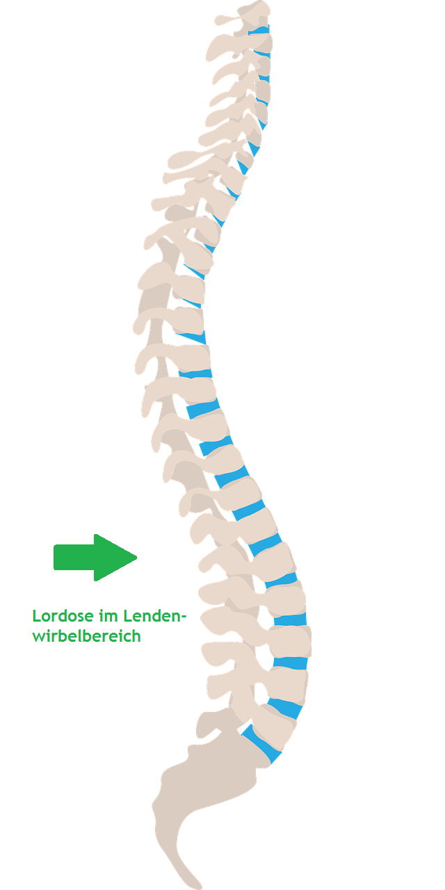 Wie du mit einer Lordosenstütze deine Sitzhaltung korrigierst ...